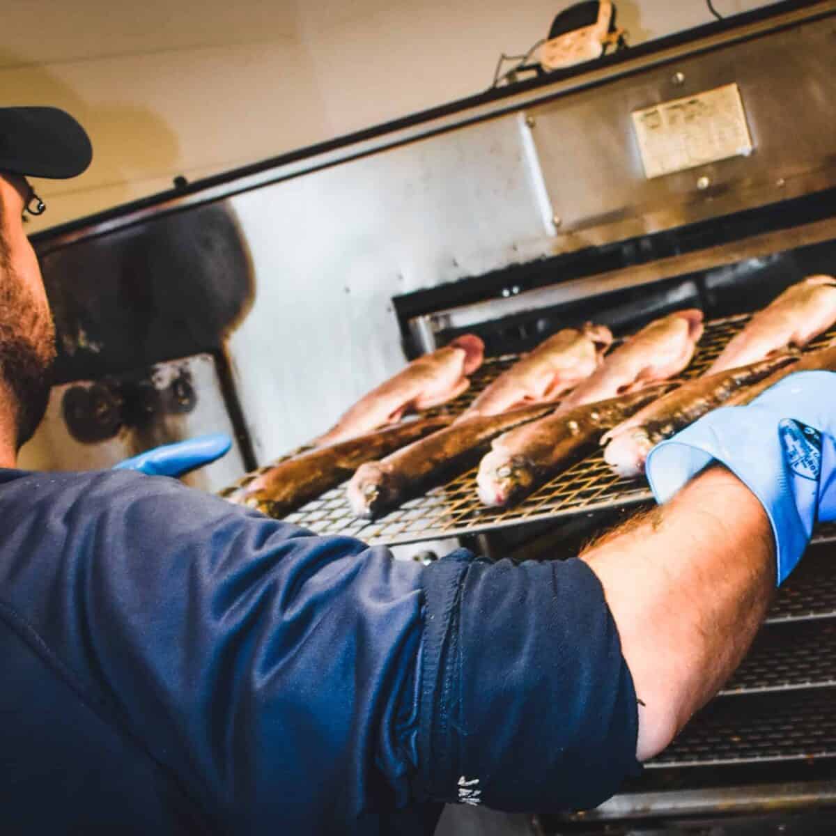 Smoked trout, hatched, reared & smoked on the farm - Mere Trout